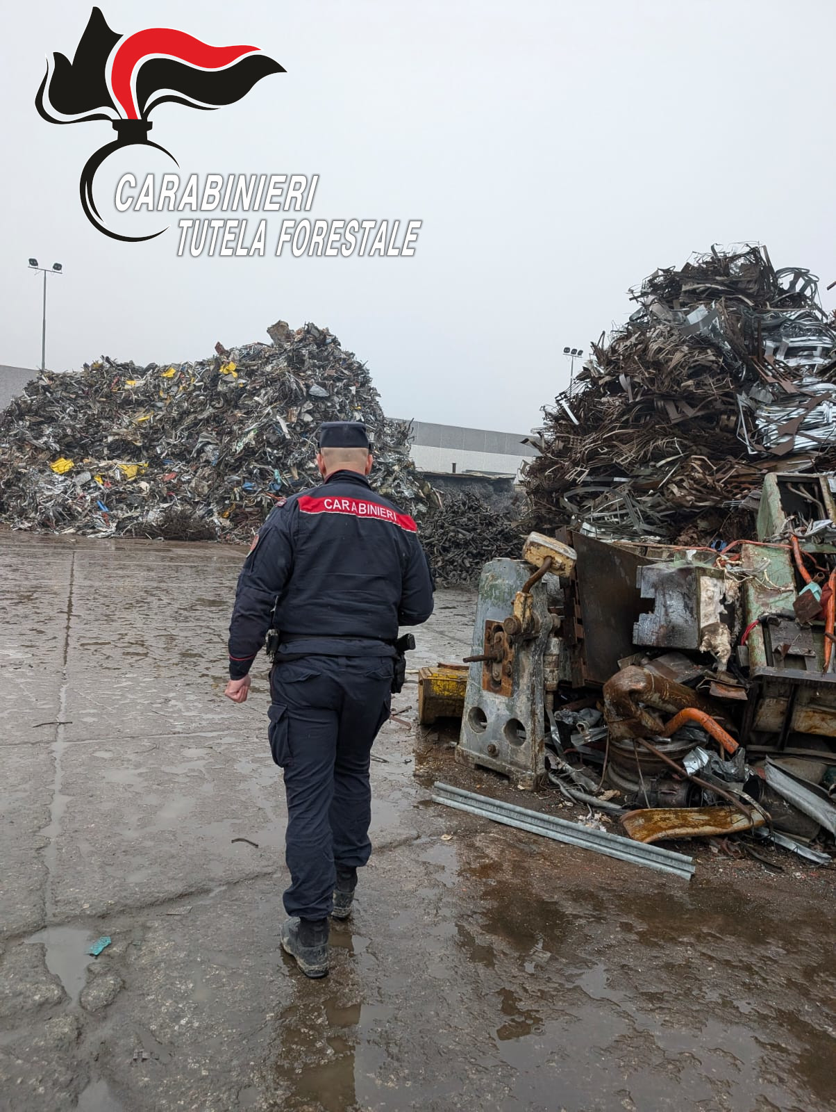 Il bilancio dell'attività dei carabinieri forestali della Bergamasca ...